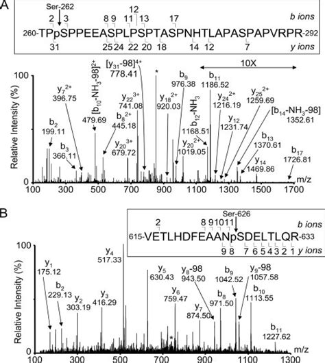 Phosphorylation Site Assignment Of Two Representative Amphi Download Scientific Diagram