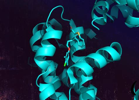 Craig M Coel On Linkedin Expediting Fep Model Optimization For Challenging Systems With A Fully…