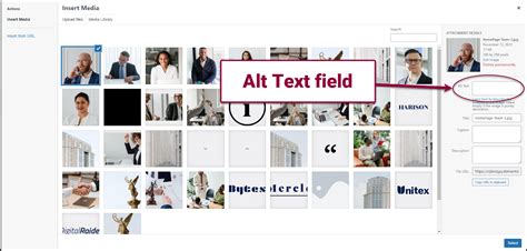 Make Your Website Accessible Elementor