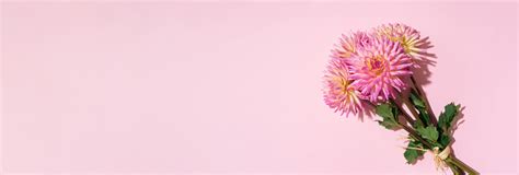파스텔 핑크 배경 복사 공간을 통해 축제 꽃다발 맨 위 보기 노란색과 분홍색 달리아 꽃 창조적 인 인사말 카드입니다 배너 개념에