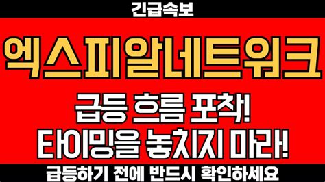 엑스피알네트워크 급등 흐름 포착 타이밍을 놓치지 마라 Youtube