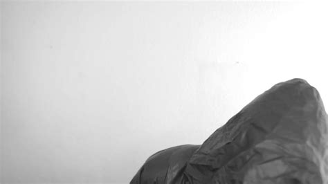 Streams Video Chatterbug