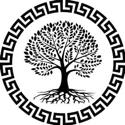 Athenas Symbols The Wisdom And Power Of The Goddess Spells8