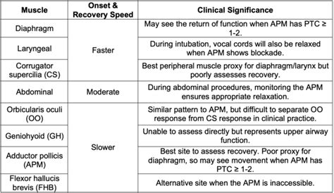 Monitoring Depth Of Neuromuscular Blockade Openanesthesia
