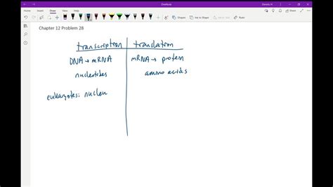 solved compare and contrast transcription and translation and indicate