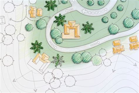 Site Plan Tree Pictures