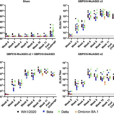 Binding Antibody Responses Measured To The Vaccines Antibody Binding