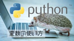 Python入門機能ごとに処理をまとめる関数の使い方 おとといからきたいも