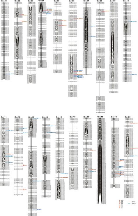 The Positions Of Qtls For Eight Traits 60 Qtls For Eight Traits