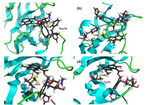 figure 1 from automated fragmentation qm mm calculation of nmr chemical