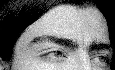 Github Gokselkucuksahinfloyd Steinberg Dithering Steinberg