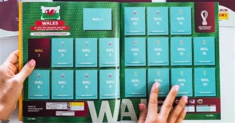 ¿cómo Se Escribe “álbum” Con O Sin Tilde Infobae