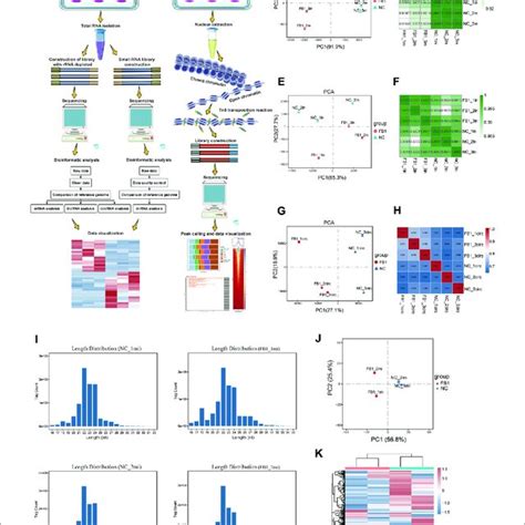 Schematic Diagram Of Experimental Design Data Analysis Workflow And Download Scientific