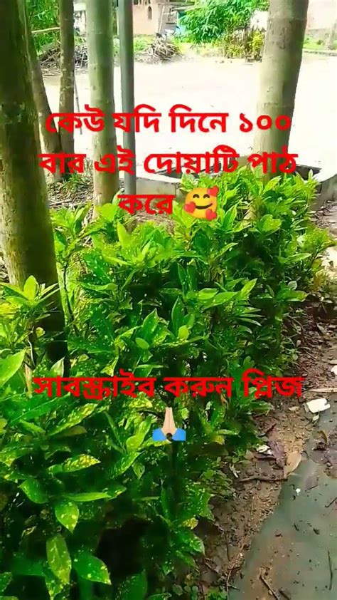 কেউ যদি দিনে ১০০ বার এই দোয়াটি পাঠ করে Islamicshortsviralfacts