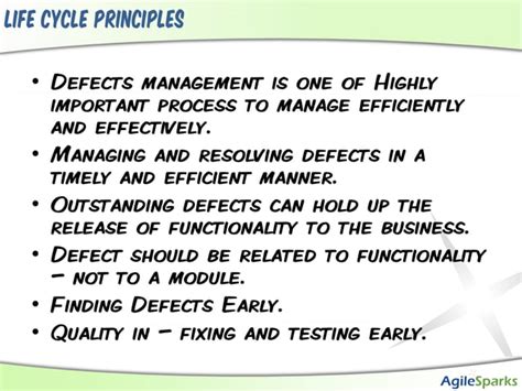 Shirly Ronen Agile Defect Management Functional Defects Versus Regression Defects Ppt