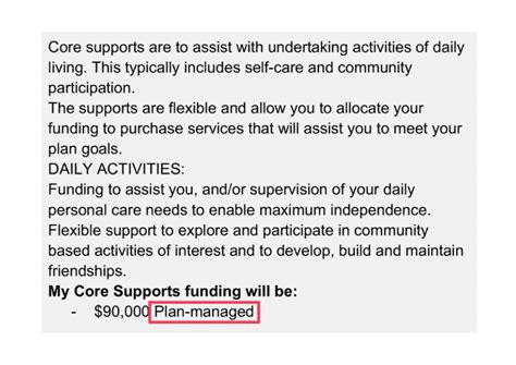 Options To Manage My New Ndis Plan Plan Hero Plan Managers