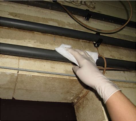 A Sock Sampling B Environmental Swabs Download Scientific Diagram