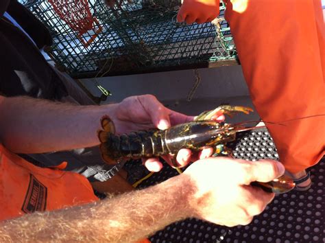 Img 3243 J Werb Flickr