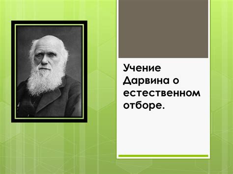 Учение Дарвина о естественном отборе презентация онлайн