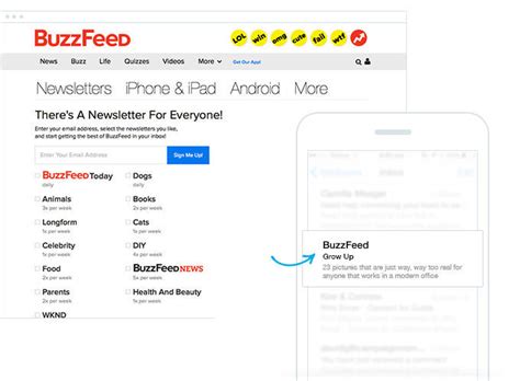 How To Avoid Spam Filters Effective Solutions To Apply
