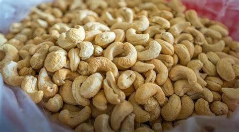 ដាំណាំស្វាយចន្ទី ជាដំណាំឧហ្សាកម្មដែលមានសារៈសំខាន់សម្រាប់កំណើនសេដ្ឋកិច្ចជាតិ ក្រសួងព័ត៌មាន