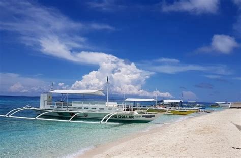 보홀 버진 아일랜드 And 돌핀와칭 호핑투어