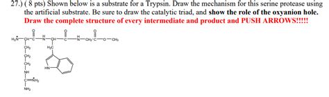 27 8 ﻿pts ﻿shown Below Is A Substrate For A