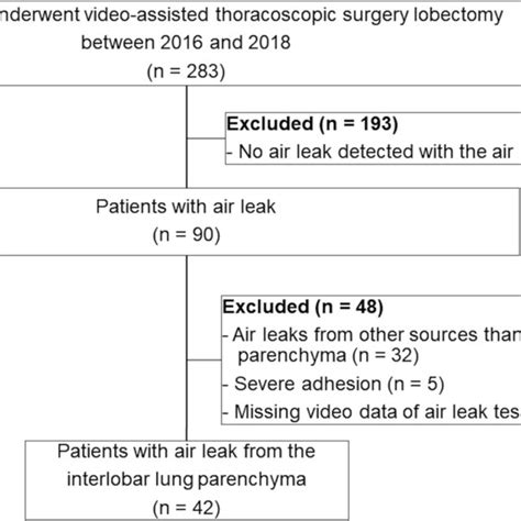 Flowchart Illustrating The Patient Selection Process Download