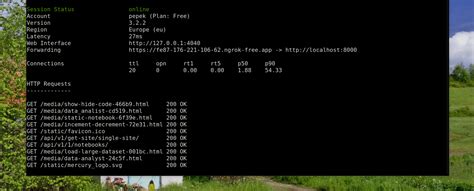 share mercury local server with ngrok mercury