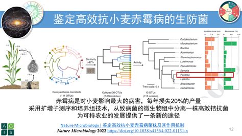 刘永鑫 宏基因组数据分析和科学传播（视频回放） Csdn博客