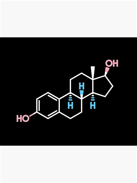 Estradiol Structure Signaling Molecules Biology For Majors I