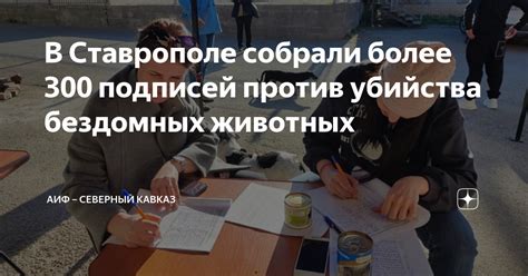 В Ставрополе собрали более 300 подписей против убийства бездомных животных АиФ Северный