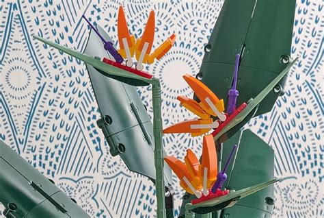 parsing bitstreams with nom r rust