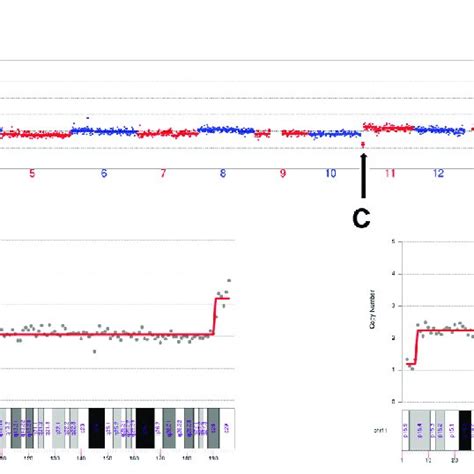 Ogm And Fish Verified The Cryptic Reciprocal Translocation Between