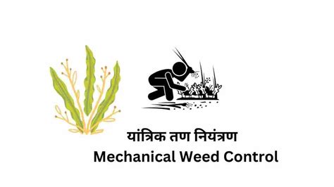 सेंद्रिय शेती Sendriya Sheti शाश्वत भविष्याची लागवड 100