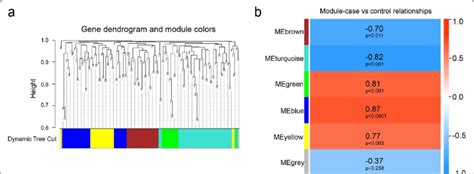 Clustering Gene Dendrogram Plot And Relationship Between Module And