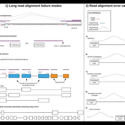 Pdf Longtron Automated Analysis Of Long Read Spliced Alignment Accuracy