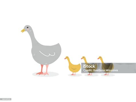 흰색 배경에 고슬링 고립 된 이미지와 거위 귀여운 프린트 회색 거위와 노란색 고슬링 만화 간단한 플랫 스타일 벡터 그림입니다 가금류에 대한 스톡 벡터 아트 및 기타 이미지