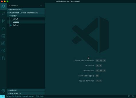 command python analysis restartlanguageserver already exists · issue