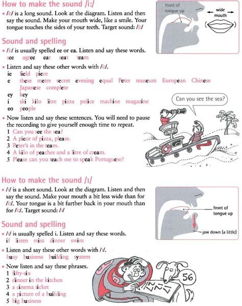Phonetic Transcription