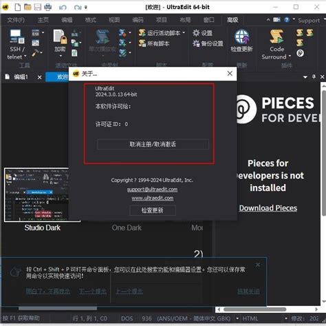 Ultraedit中文版下载 Ultraedit文本编辑器下载v31 3 0 13 官方免费版 安粉丝网