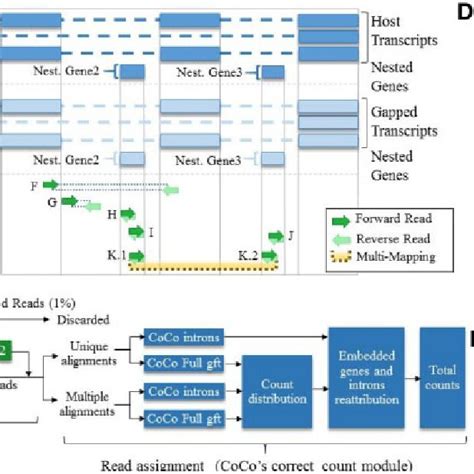 Example Of Bedgraph Illustrating The Coco Quantification Correction For