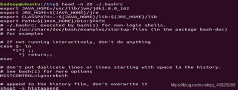 【大数据学习 实验 1】 Hadoop实验环境搭建和linux常用基本操作实验1linux系统下hadoop安装与使用 Csdn博客