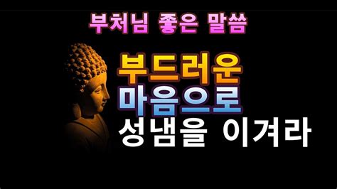 부처님 명언부드러운 마음으로 성냄을 이겨라부처님 좋은 말씀인생명언 입니다오디오북 Youtube