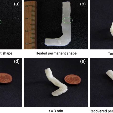 Pdf Two Way And Multiple Way Shape Memory Polymers For Soft Robotics An Overview