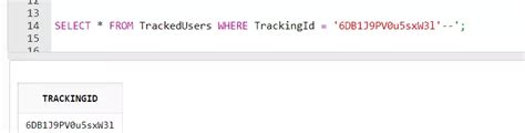 Sql Injection Vulnerabilities L H Ng Sql Injection Ph N
