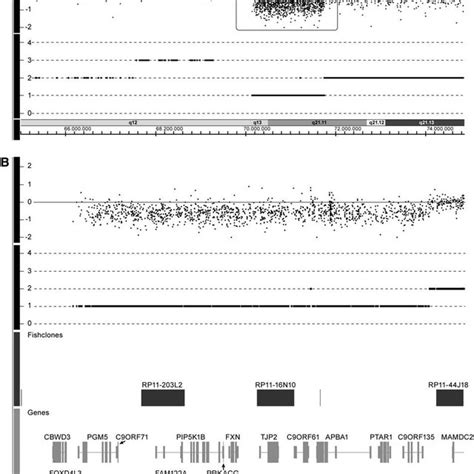 Result Of The Affymetrix Genechip ª Genome Wide Human Snp Array 60