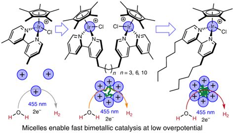 Behind The Paper Catalyst Self Assembly Accelerates Bimetallic Light Driven Water Splitting