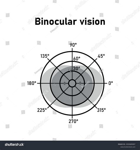 Visual Field Left Right Eye Binocular Stock Vector Royalty Free