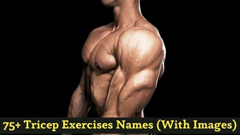 7 Best Resistance Band Bicep Exercises With Workout Plan